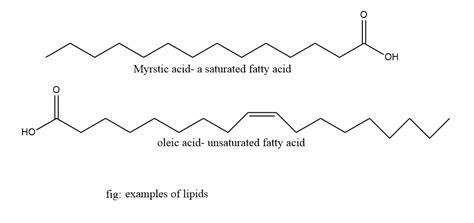 Lipid Definition Classification Examples And 7 Reliable Function Chemistry Notes