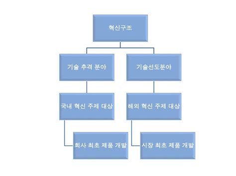 혁신구조 기술 추격 분야 국내 혁신 주제 대상 회사 최초 제품 개발 기술선도분야 해외 혁신 주제 대상 시장 최초 제품 개발 ppt download
