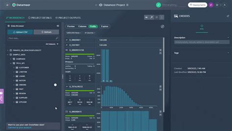 Using Metadata From Datameers Inspector To Make Data Transformation