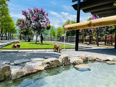 宜蘭張美阿嬤農場門票優惠｜日式庭園餵動物景點｜水豚君來囉 Tiss玩味食尚