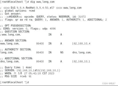dns服务器配置 dns的named localhost文件配置 csdn博客
