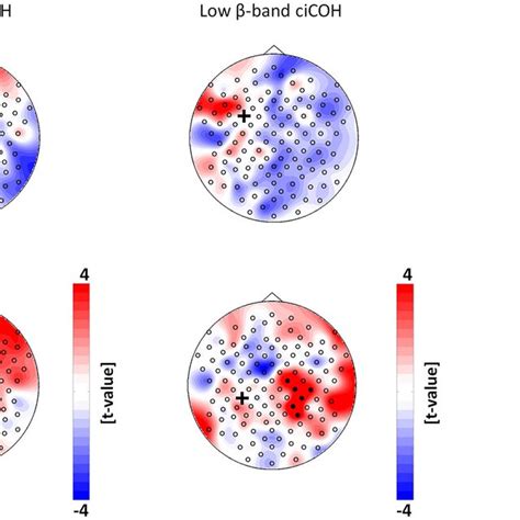Connectivity Changes Of The Premotor And Primary Somatosensory Cortex Download Scientific