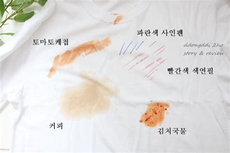 Stain Classification Object Detection Dataset By SWU