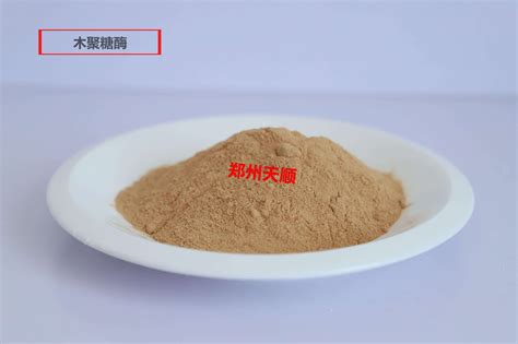 木聚糖酶（xylanase）食品级木聚糖酶的作用和主要用途 郑州天顺食品添加剂生产厂家