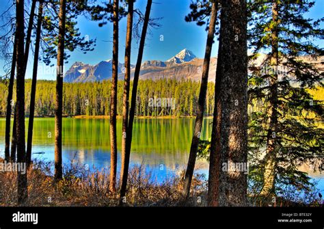 Leech Lake With Mt Edith Cavell Jasper National Park Alberta Canada
