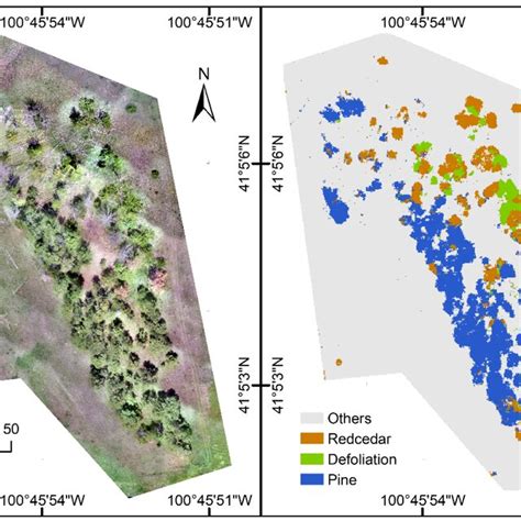 Visualization Of The Multi Species Forest Classification Result Download Scientific Diagram