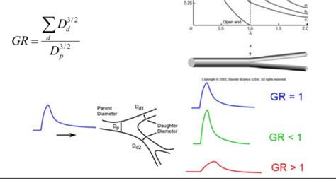 intrinsic properties and synaptic integration flashcards quizlet
