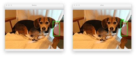 Region Proposal Object Detection With Opencv Keras And Tensorflow Pyimagesearch