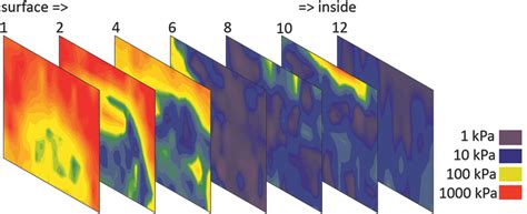 Stiffness Mapping Of Sections Of Mamma Carcinoma Measured By