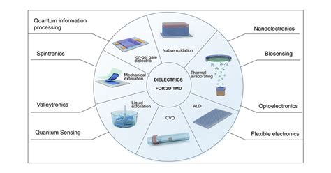 Dielectrics For Two Dimensional Transition Metal Dichalcogenide Applications Acs Nano