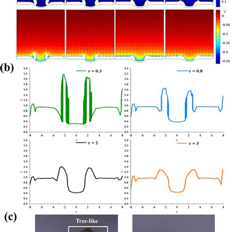 Dendrite Growth Behavior In Pits With Different Curvatures A Download Scientific Diagram