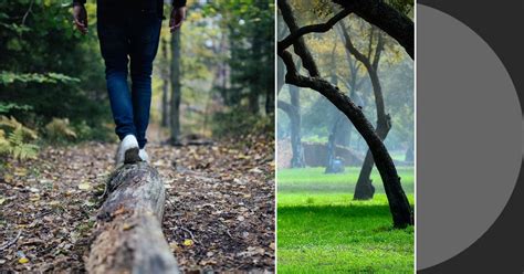 List Meditation Curated By Marc Scheiner Medium