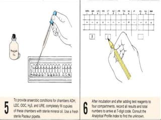 Analytical Profile Index API Automated Machines PPTX