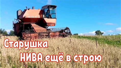 Убираем зерновые влог жизньвдеревне Latvianvillage деревенскийблогер Youtube