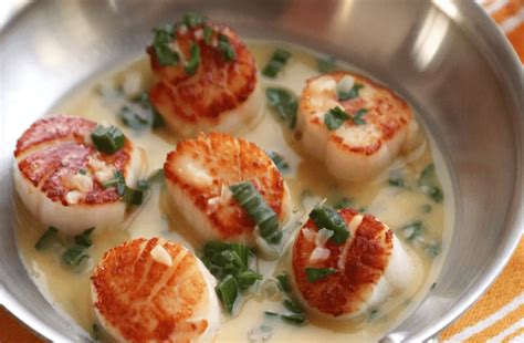 Seared Scallops In White Wine Butter Sauce Close Harbour Seafood