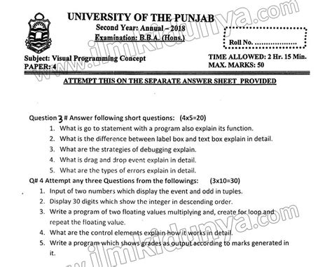past paper bba 2nd year punjab university visual programming concept