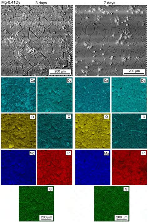 Sem Micrograph Showing The Corrosion Morphology With Corresponding Eds
