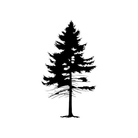 Silhouette Of A Lone Pine Tree With Sparse Branches Vector Illustration