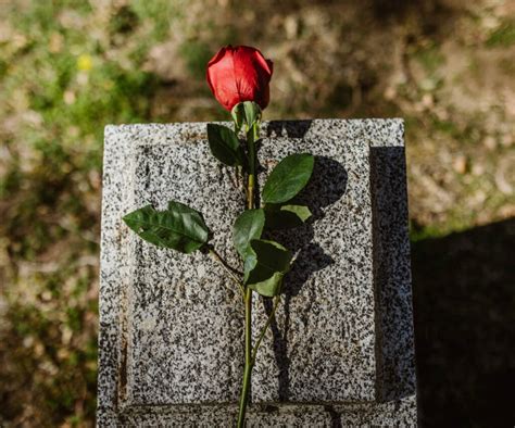 A Guide To A Burial At Mangere Lawn Cemetery Mangere Lawn Cemetery