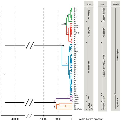 Figure 2 Multilocus Phylogeny To Determine The Evolutionar Flickr