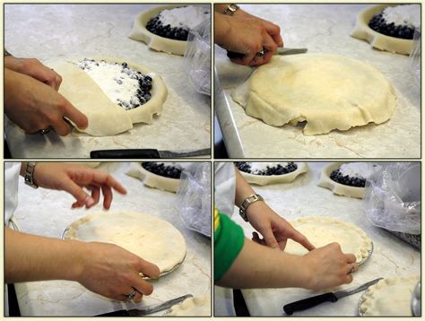 Blog Delisson Pie Eyed