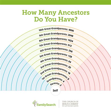 Got Interested In Genealogy Recently And This Chart Boggles My Mind O T Lounge