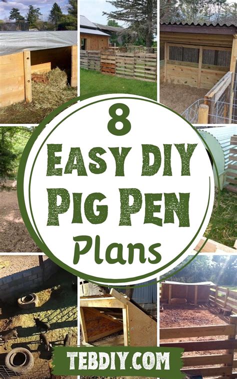 Best 12 Diy Pig Pen Plans That Arent Less Than A Home Artofit