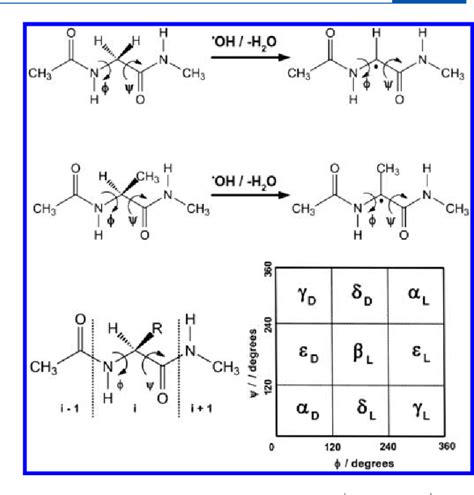 Figure 1 From Conformation Dependent OH H2O2 Hydrogen Abstraction Reaction Cycles Of Gly And