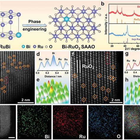 A Schematic Illustration Of The Design And Synthesis Of Bi‐ruo2 Saao Download Scientific