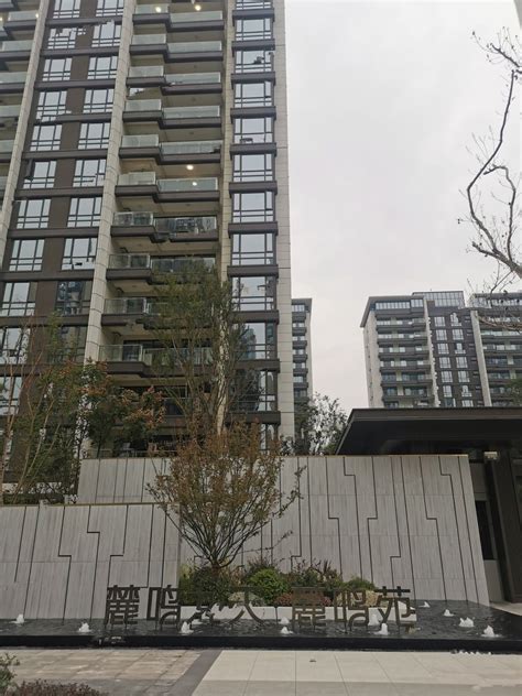 成都陆肖TOD麓鸣九天实景图16 吉屋网