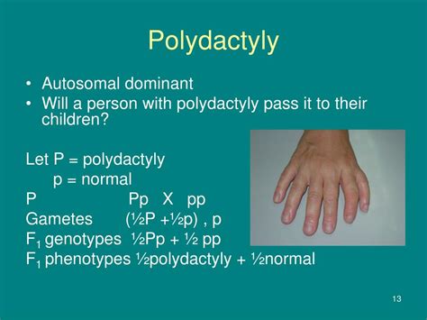 Ppt Year 10 Genetics 2 Human Inheritance Powerpoint Presentation Free Download Id1397169
