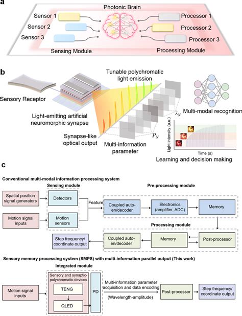 Schematic Diagram Of The Photonic Brain And The Smps A A “photonic Download Scientific Diagram