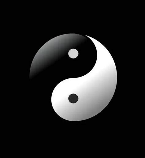 قانون جنسیت و نظریه یین و یانگ عشق و دانش فاطمه سادات جوادی