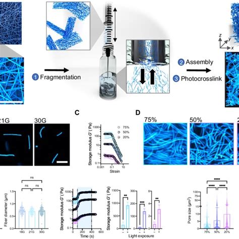 Jason A Burdicks Research Works University Of Colorado Co Ucd