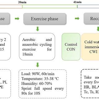 Dynamic Changes Of SpO2 In Each Group Note SpO2 Oxygen Saturation Download Scientific
