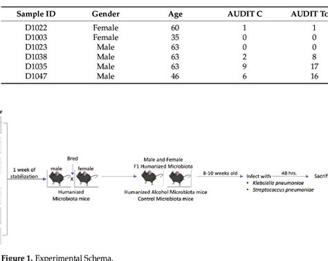 Demographics Of Human Fecal Samples Download Scientific Diagram