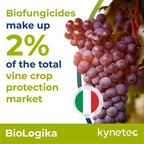 Alice Bouchikhi On Linkedin In 2023 Biofungicides Were The Third Most