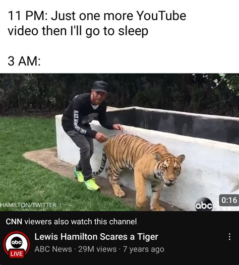 The Yt Algorithm Is So Manipulated Man Rformuladank