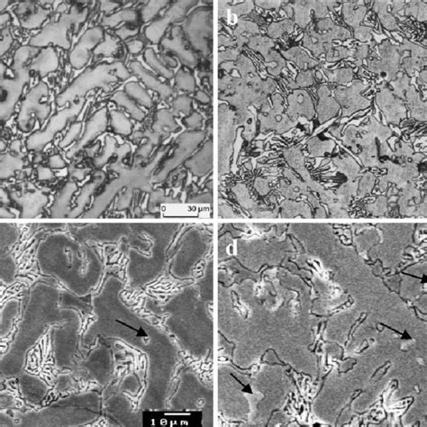 Pdf Microstructure Wear Performance Relationship Of Hypoeutectic 15 Cr 2 Mo White Iron