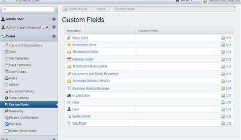 Java Rushi How To Get Liferays Custom Fields In Reports With Mysql Database