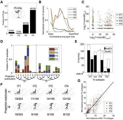 high throughput mapping of long range neuronal projection using in situ