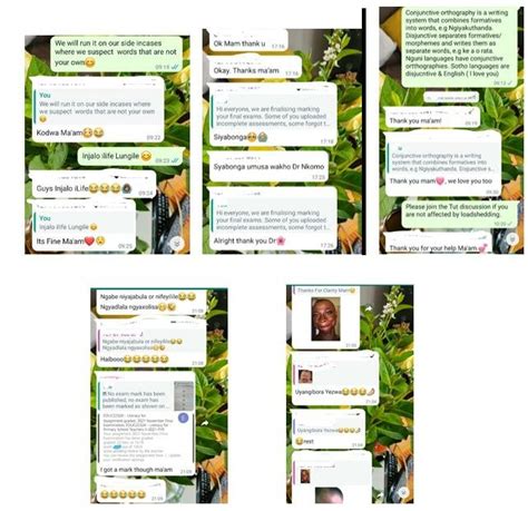 Babes Use Of Multimodal Strategies Download Scientific Diagram