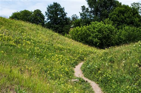 걷고 있는 경치 경치가 좋은 고요한 길 나무 낮 녹지 농촌의 동식물 러스틱 모험 목가적 인 목가적인