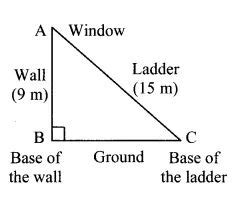 Maharashtra Board Class Maths Solutions Chapter Pythagoras Theorem Practice Set