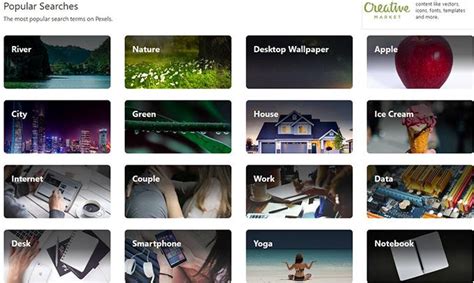 Pexels 顶级免费高清无版权摄影图片素材库 免费软件下载