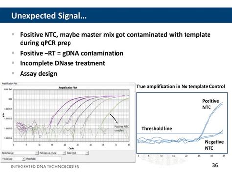 Troubleshooting Qpcr What Are My Amplification Curves Telling Me Pptx