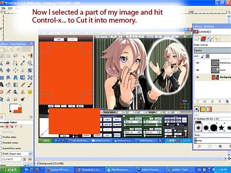 Cut And Paste A Piece Of A Layer In Gimp