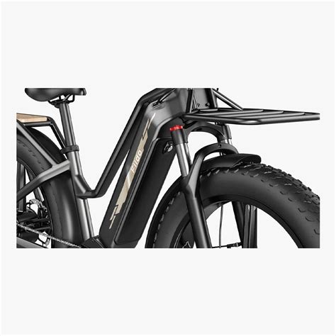 Fiido Titan M25 Robust Cargo Electric Bike Triple Battery Cyclebike