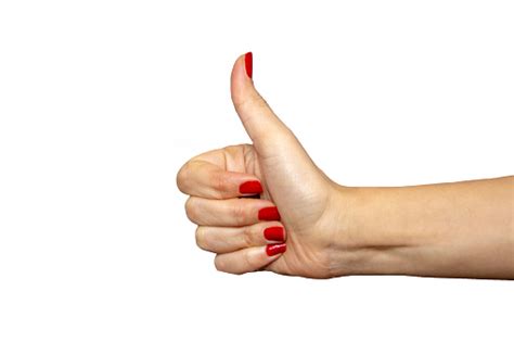 손 등의 기호를 표시 하 고 괜찮아 흰색 배경에 고립 된 승리 기호를 보여주는 여성의 손의 클로즈업 여자 손 몸짓 평화 기호입니다 가까운에 대한 스톡 사진 및 기타 이미지