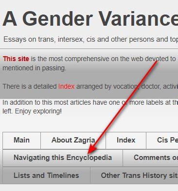A Gender Variance Who S Who Navigating This Encyclopedia